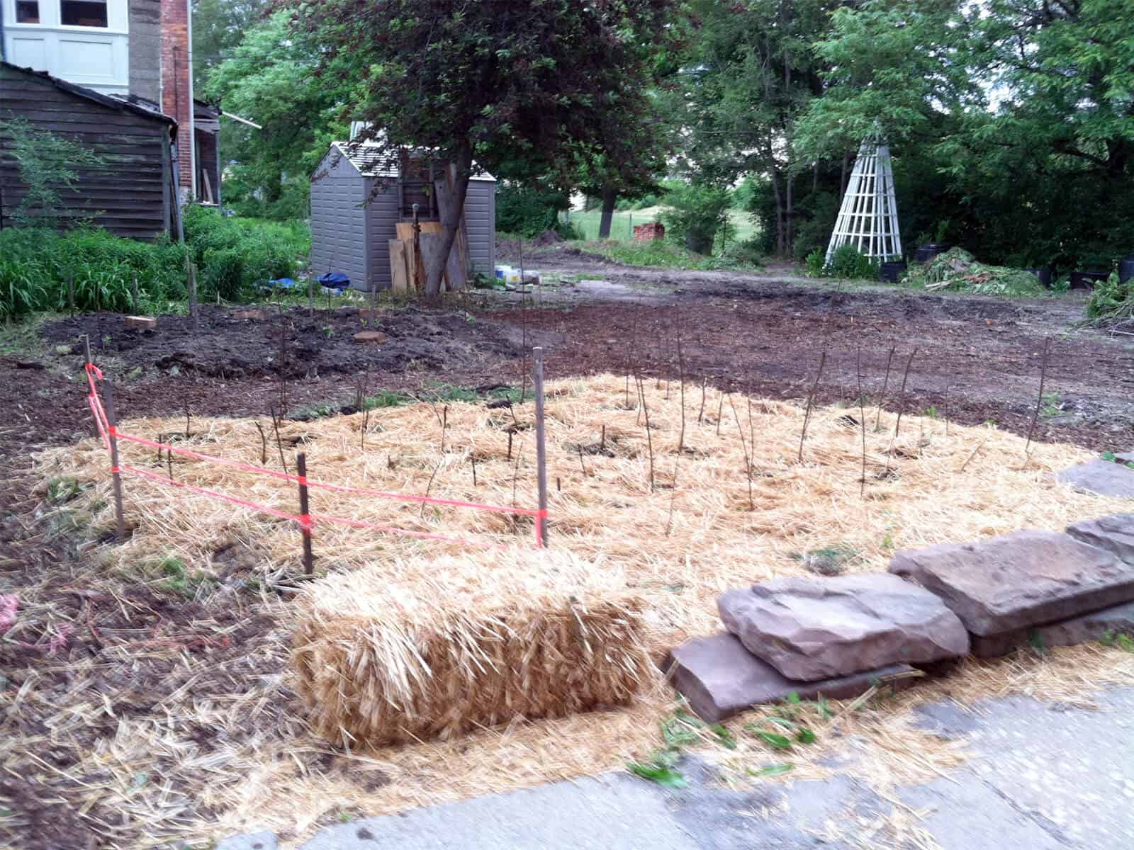 Worker’s Row House Detroit Bioremediation - Earth Repair
